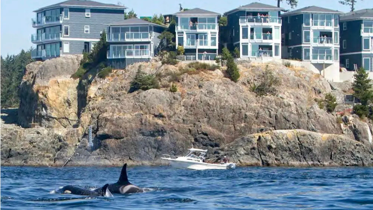 Living the Dream: Sooke - 2026 BC Children’s Hospital Choices Lottery